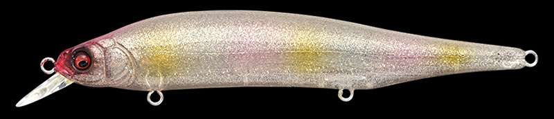 X-80 MAGNUM | Megabass-メガバス