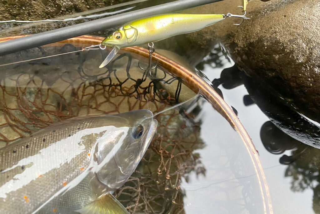 本流に新たな刺客、GH95参上！ | Megabass-メガバス